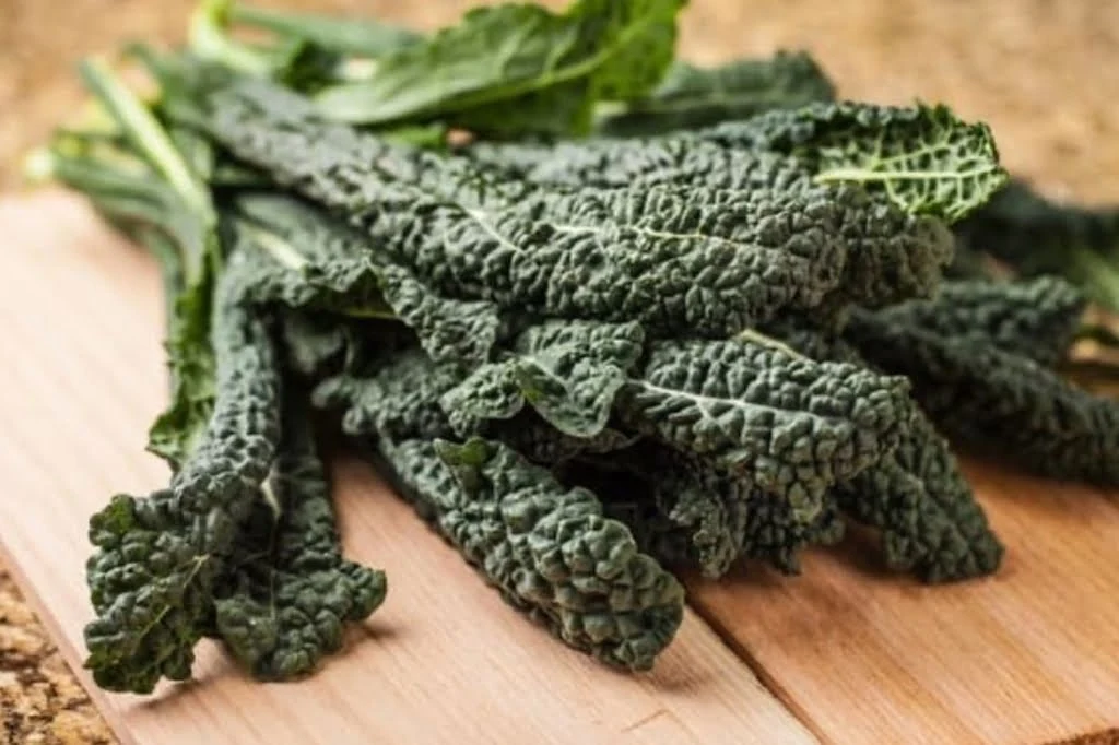 10 Most Popular Italian Vegetables – This Way To Italy